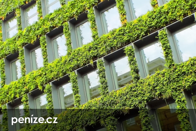 ESG v praxi: Diverzita, inkluze a energetická efektivita jako hnací ...